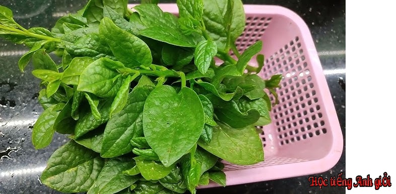 Rau mồng tơi tiếng Anh là gì? 2 cách phát âm IPA chuẩn xác