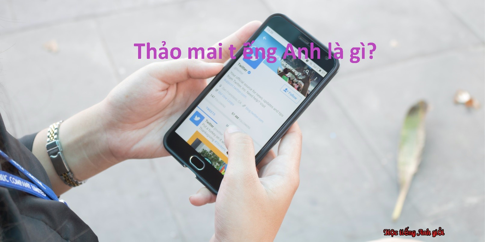 Thảo mai tiếng Anh là gì? 2 Cách đọc & sử dụng trong giao tiếp